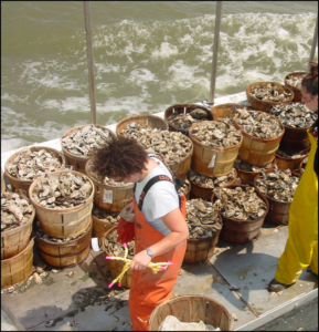bushels_on_deck – Rutgers University Department of Marine and Coastal ...