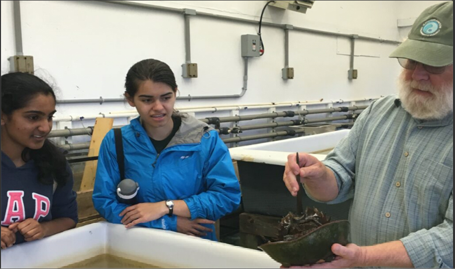 aboutus4 – Rutgers University Department of Marine and Coastal Sciences