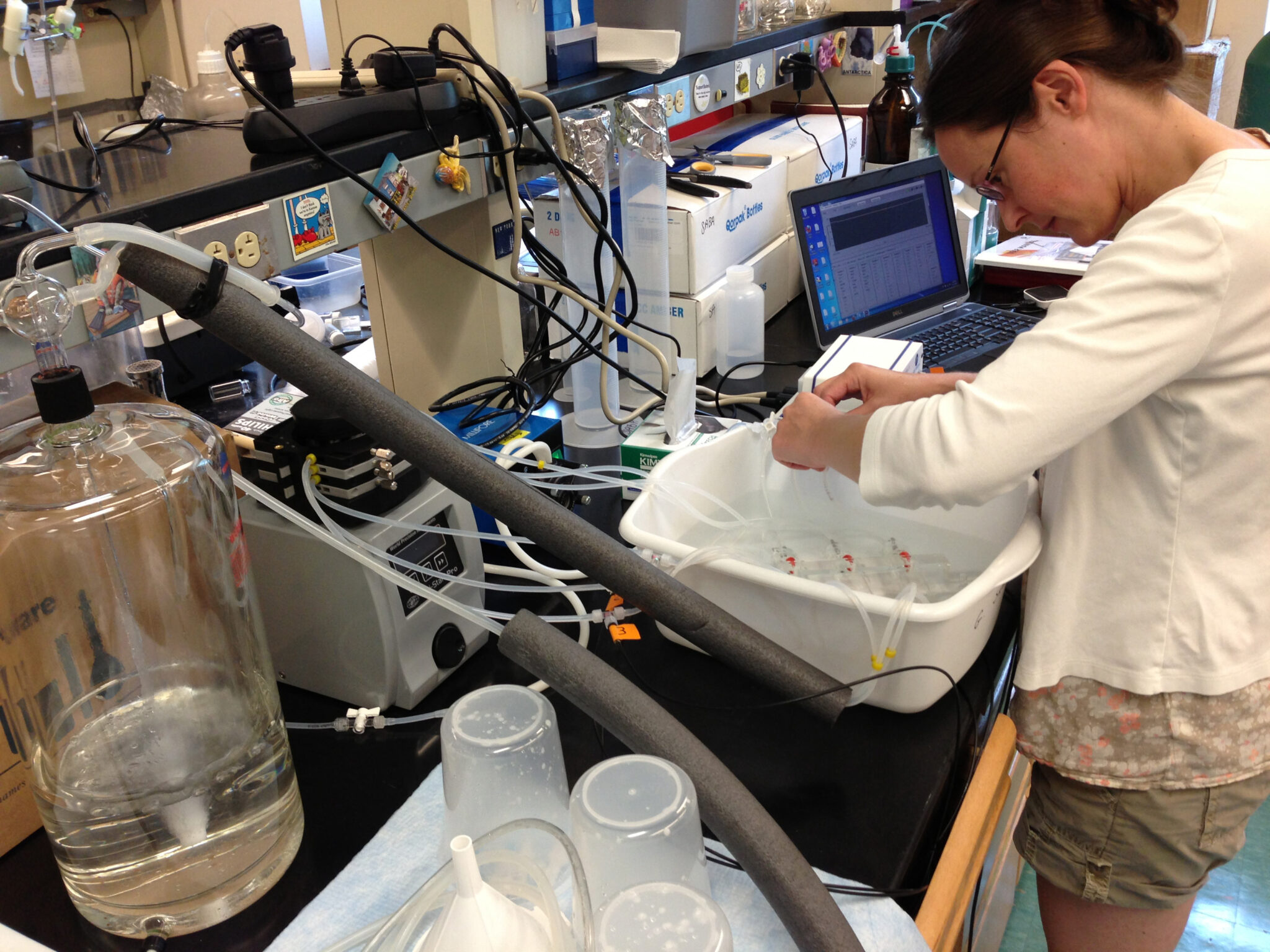 Photo Gallery – Rutgers University Department of Marine and Coastal ...