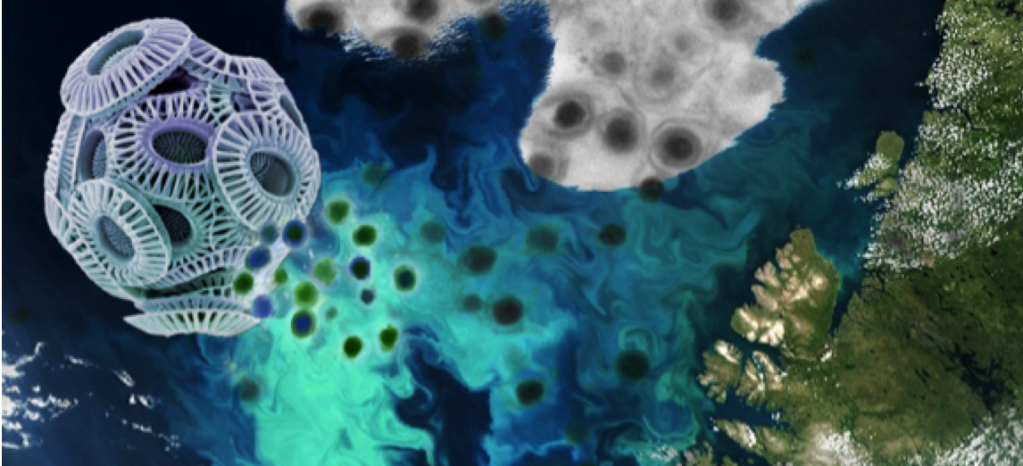 bio – Rutgers University Department of Marine and Coastal Sciences