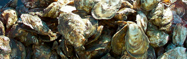 Research Labs – Rutgers University Department of Marine and Coastal ...