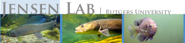 Research Labs – Rutgers University Department of Marine and Coastal ...