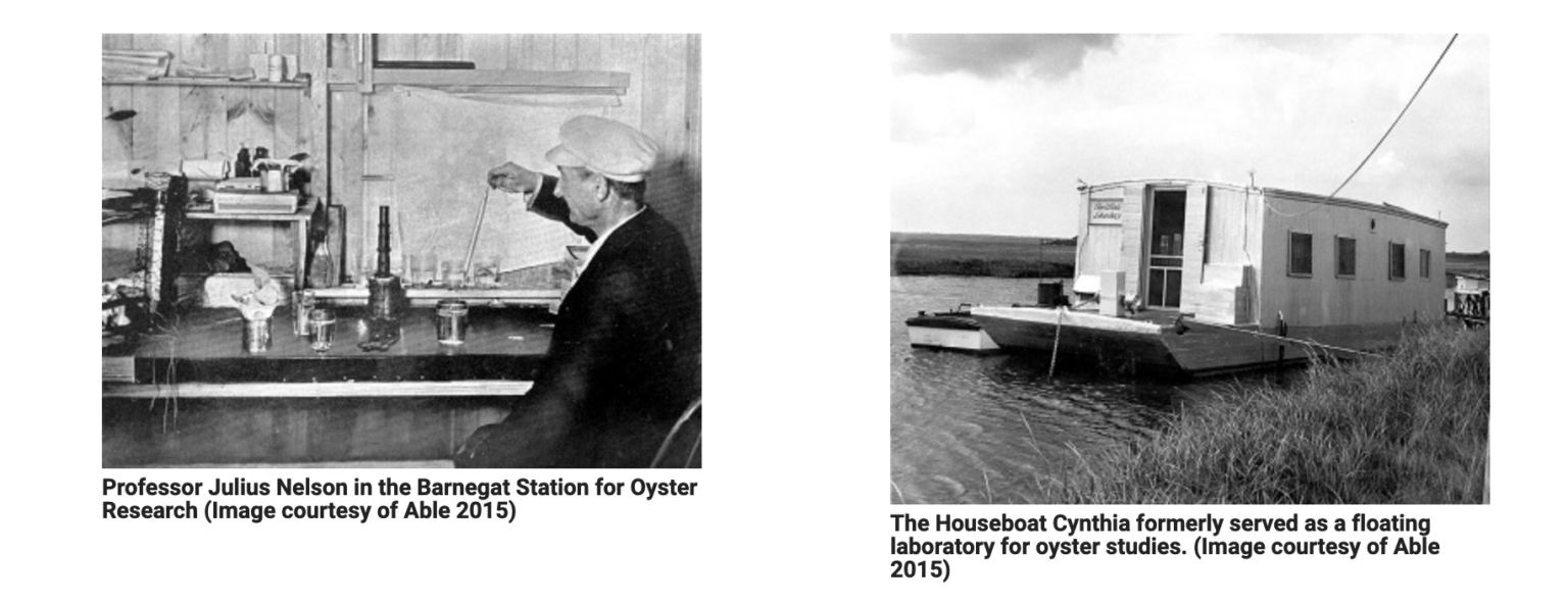 rumfs location – Rutgers University Department of Marine and Coastal ...