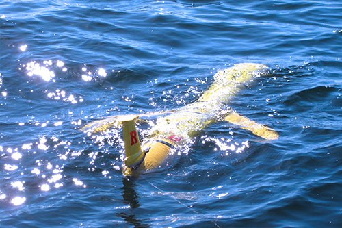 leadership-ocean-science2 – Rutgers University Department of Marine and ...