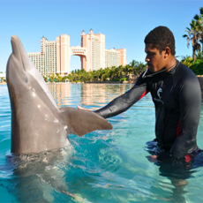 tedthompson – Rutgers University Department of Marine and Coastal Sciences