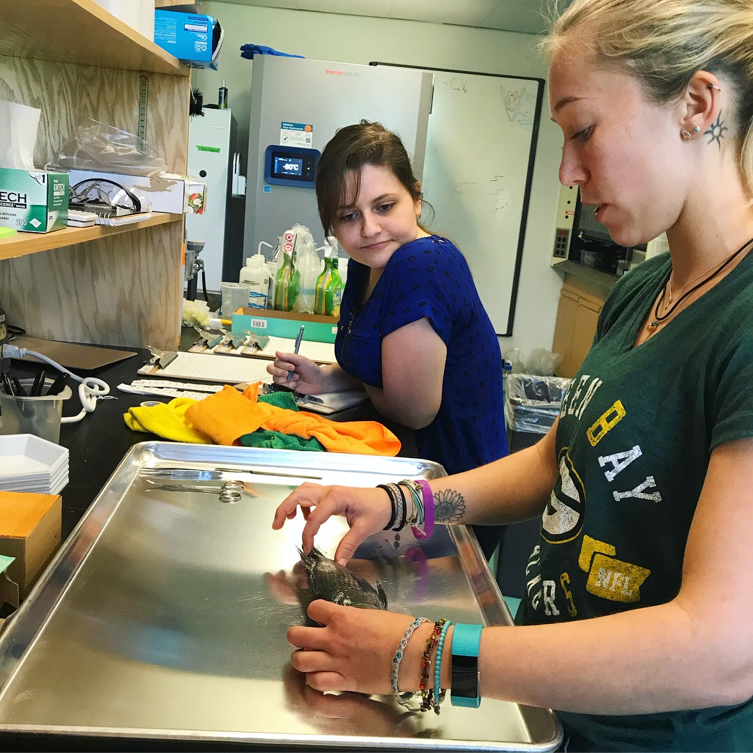 Fish Physiology – Rutgers University Department of Marine and Coastal ...