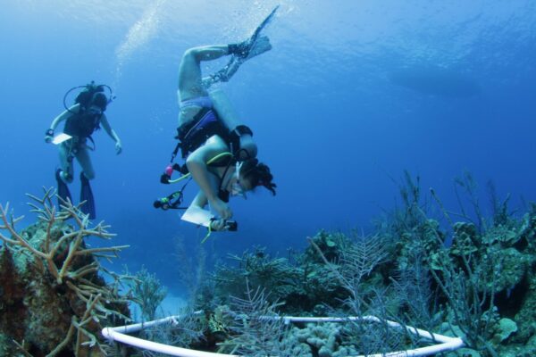 scuba – Rutgers University Department of Marine and Coastal Sciences